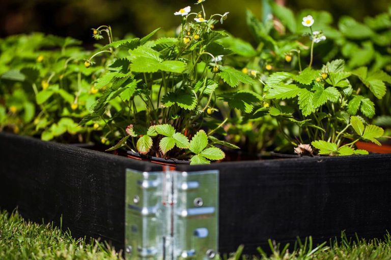 SurePave® - Heavy Duty Gravel Paving & Stabilisation - Strol